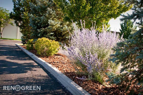 RENO GREEN LANDSCAPING - Updated January 2026 - 117 Photos & 27 Reviews ...