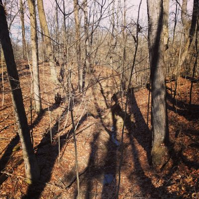 MILL STREAM RUN RESERVATION - Updated May 2025 - 30 Photos ...