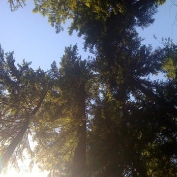 LAKE CONNOR PARK - Updated December 2025 - 18 Reviews - 14320 28th St ...