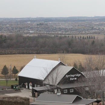 SPRINGRIDGE FARM - Updated October 2025 - 159 Photos & 44 Reviews ...