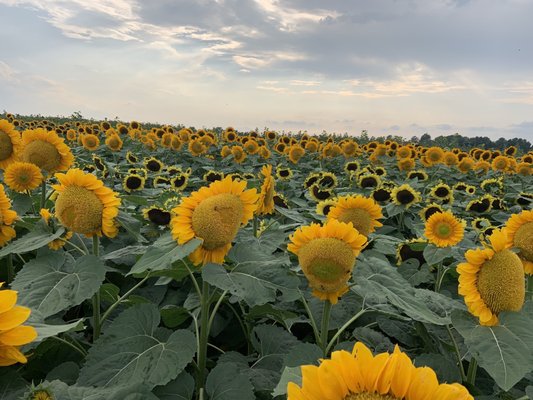 EXPLORATION ACRES - Updated August 2025 - 83 Photos & 34 Reviews - 6042 ...