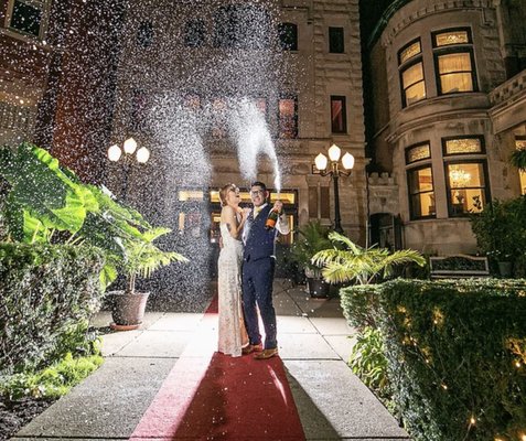 STAN MANSION - 2408 N Kedzie Blvd, Chicago, Illinois - 175 Photos & 122 ...