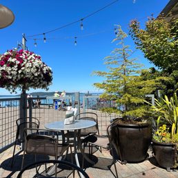 WILDFIN AMERICAN GRILL - Updated December 2025 - 1039 Photos & 1112 ...