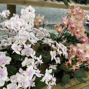 ISAAC FARMS - Updated July 2025 - 456 Photos & 113 Reviews - 18800 SW ...