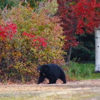FORT SIMCOE HISTORICAL STATE PARK - Updated June 2025 - 5150 Fort ...