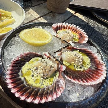 BEACHLIFE GROTTO - Updated October 2025 - 163 Photos & 124 Reviews ...