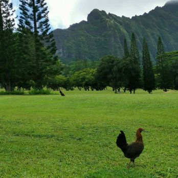 PALI GOLF COURSE - Updated August 2024 - 96 Photos & 67 Reviews - 45 ...