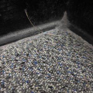 SAHM AQUATIC CENTER - Updated February 2025 - 11 Photos & 13 Reviews ...