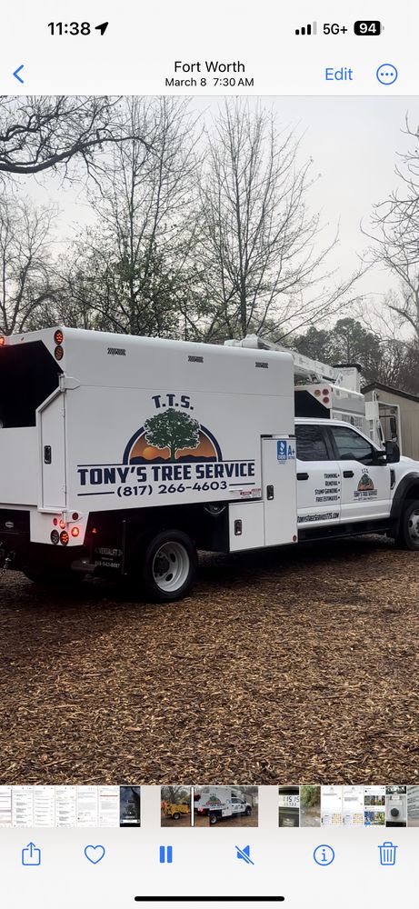 TONY’S TREE SERVICE - Updated February 2025 - Request a Quote - 3732 ...