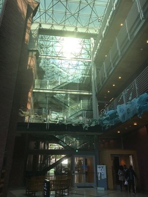 LOUIS STOKES HEALTH SCIENCES LIBRARY - Updated August 2025 - 14 Photos ...