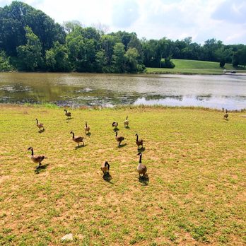 PIERSON PARK - Updated October 2025 - 1800 S 55th St, Kansas City ...