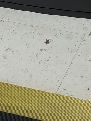 LABCORP - Updated November 2024 - 67 Photos & 102 Reviews - 1703 ...