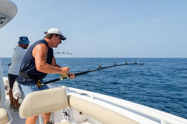 LET’S GO CATCHING FISHING AND FAMILY FUN CHARTERS - 14 Photos ...