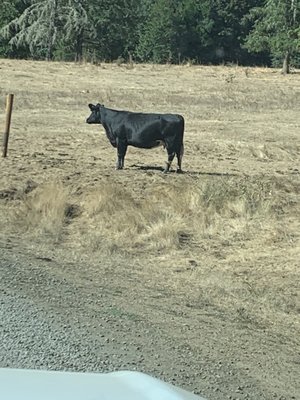 BIG K GUEST RANCH AND OUTFITTERS - Updated May 2024 - 17 Photos - 20029 ...