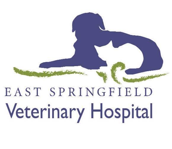 EAST SPRINGFIELD VETERINARY HOSPITAL - Updated November 2025 - 525 Page ...