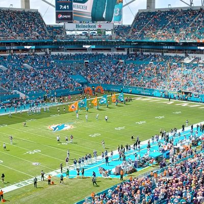 MIAMI DOLPHINS - Updated December 2025 - 74 Photos - 7500 SW 30th St ...