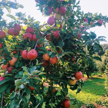 FRECON FARMS - Updated August 2025 - 69 Photos & 61 Reviews - 501 S ...