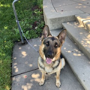 SWANSTON PARK - 23 Photos & 32 Reviews - Parks - 2350 Northrop Ave ...