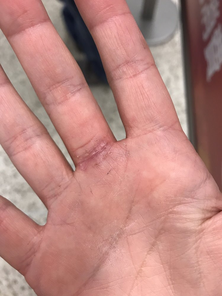 RAMIN M MODABBER, MD - 31 Reviews - Orthopedists - 2020 Santa Monica ...