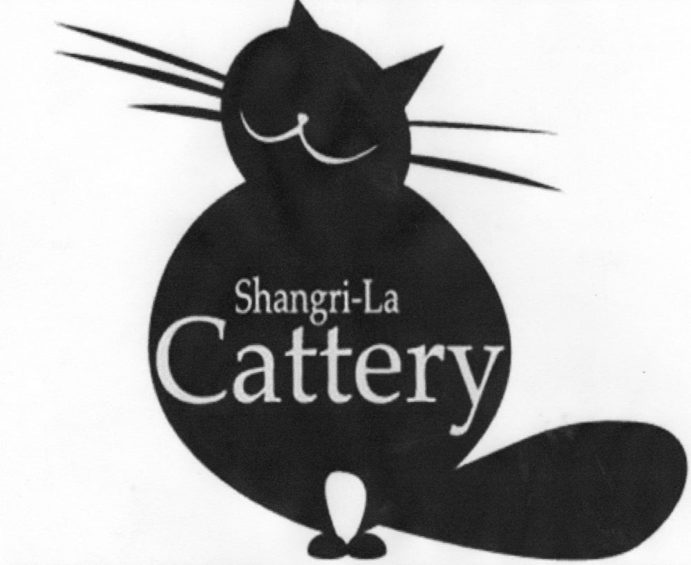 SHANGRI LA CATTERY - Updated March 2026 - Lower Road, Hockley, Essex ...