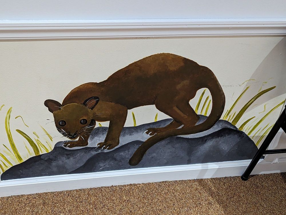 DUKE UNIVERSITY LEMUR CENTER - 342 Photos & 71 Reviews - 3705 Erwin Rd ...