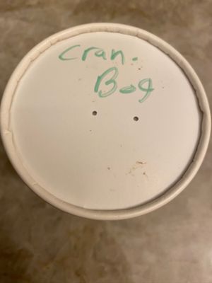 SOMERSET CREAMERY - Updated February 2025 - 71 Photos & 122 Reviews ...