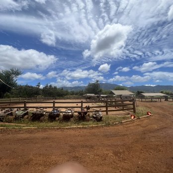 NORTH SHORE STABLES - Updated July 2024 - 478 Photos & 166 Reviews - 67 ...