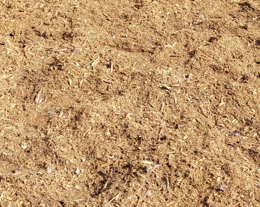 CARTER’S STUMP GRINDING - Updated May 2025 - 38 Photos - Bangor ...