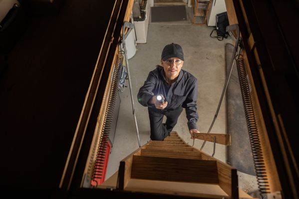 SOS EXTERMINATING - Updated January 2026 - 15 Photos & 43 Reviews - 1240 West San Pedro Street ...