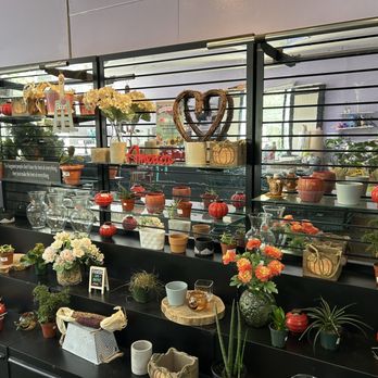 TOP 10 BEST Amish Store near Belmont, CA 94002 - Updated 2025 - Yelp