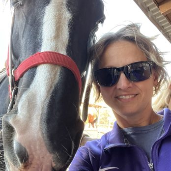 PONDEROSA STABLES - Updated May 2025 - 294 Photos & 223 Reviews - 10215 ...