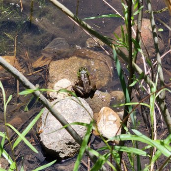 ABQ BIOPARK BOTANIC GARDEN - Updated December 2025 - 1307 Photos & 168 ...