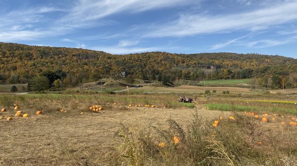 DYKEMAN FARM - Updated January 2026 - 31 Dykeman Ln, Pawling, New York ...
