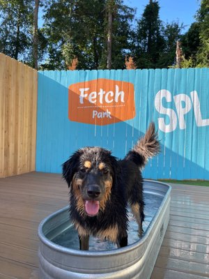 FETCH PARK - Updated May 2025 - 19 Photos & 14 Reviews - 11440 Maxwell ...