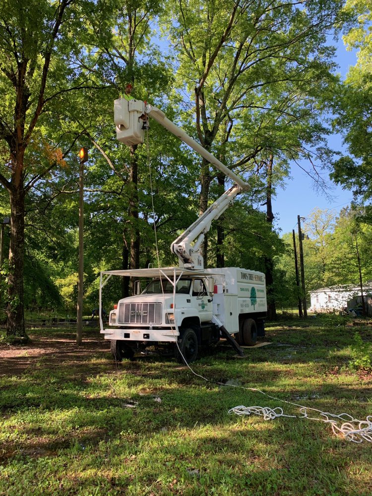 DEEP ROOT TREE SERVICE - Updated January 2025 - 15 Photos - Bryant, Arkansas - Tree Services ...