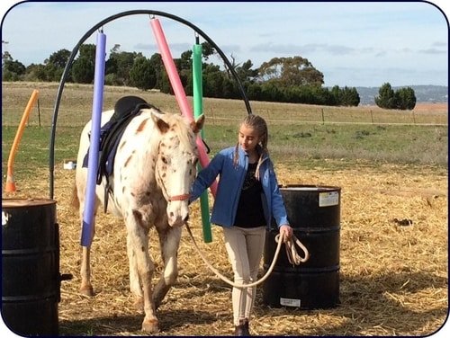 ALBA VIEW EQUESTRIAN - 623 Parkers Rd, Ward Belt South Australia ...