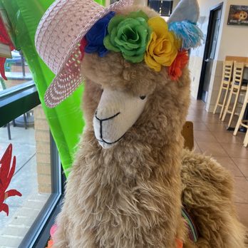 ALPACA PERUVIAN CHARCOAL CHICKEN - Updated September 2025 - 158 Photos ...