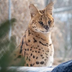 Best Zoos Near Me - October 2025: Find Nearby Zoos Reviews - Yelp