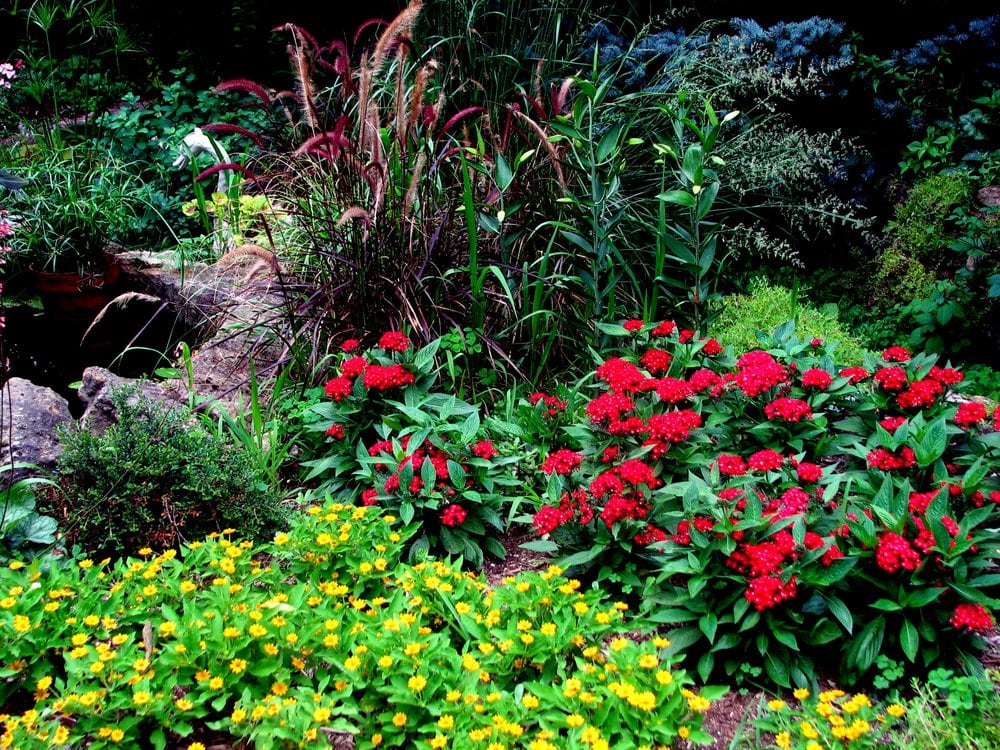 LINMAR GARDENS - Updated October 2025 - 13 Photos - 504 S Prospect St ...