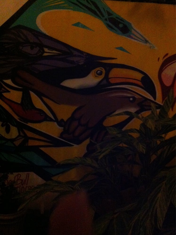 RED BULL HOUSE - Updated April 2024 - R. J. Carlos, 101, Rio de Janeiro ...