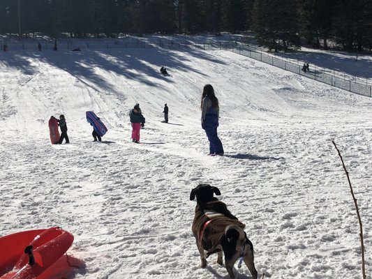 CAPULIN SNOW PLAY AREA - 26 Photos - R 536, New mexixo, New Mexico ...