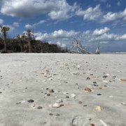 LITTLE TALBOT ISLAND STATE PARK | 327 Photos & 64 Reviews | 12157 ...