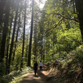 SILVER FALLS STATE PARK - Updated May 2025 - 1609 Photos & 337 Reviews ...