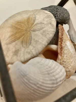 SHELL WORLD - Updated September 2025 - 199 Photos & 111 Reviews - 97600 ...