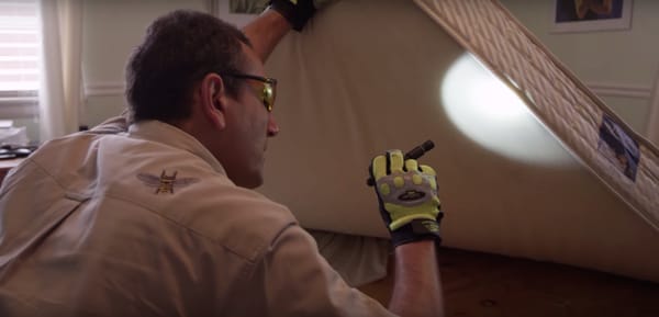 ARTERIX PEST CONTROL - Updated December 2025 - 36 Photos & 223 Reviews ...