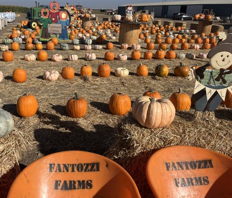FANTOZZI FARMS CORN MAZE & PUMPKIN PATCH - Updated May 2026 - 131 ...