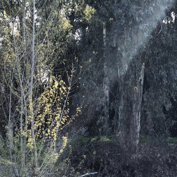 KINGS RIVER RV RESORT - Updated June 2025 - 47 Photos & 28 Reviews ...