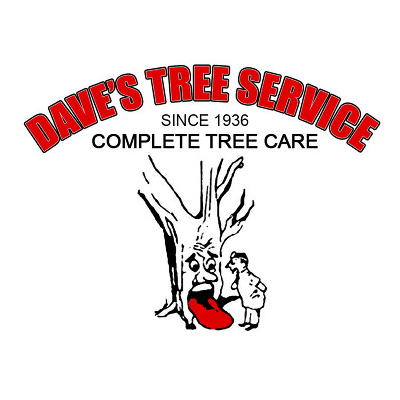 DAVE’S TREE SERVICE - Updated October 2025 - 21 Reviews - 72 Kingston ...