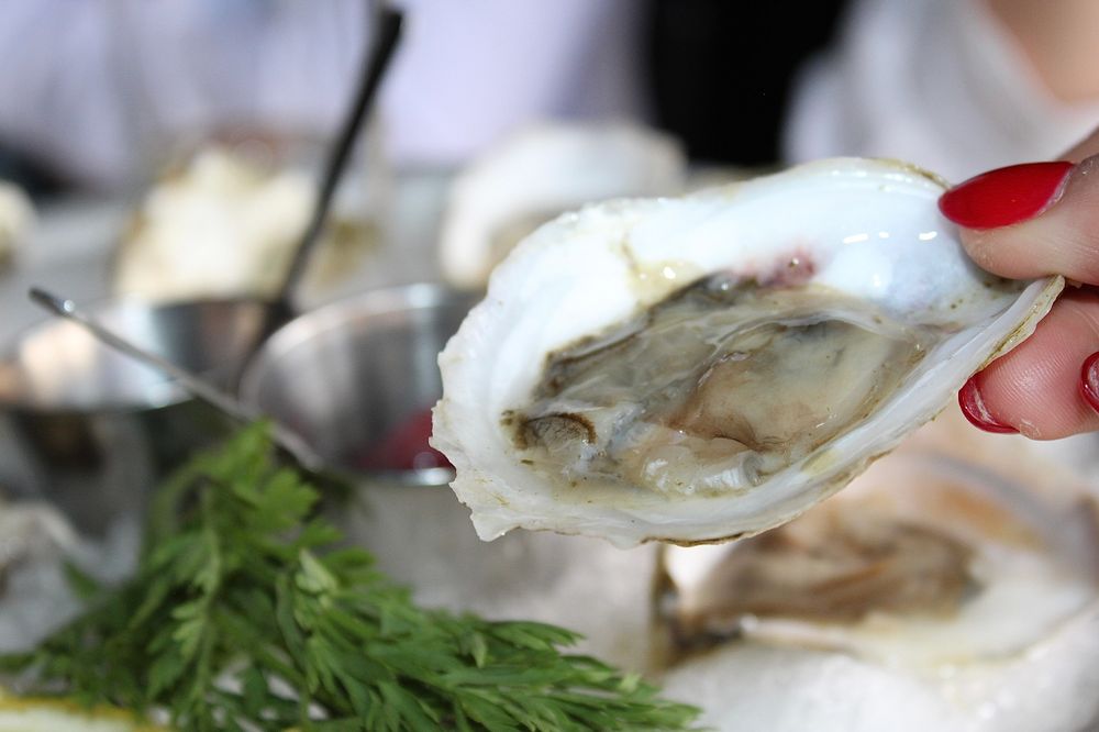 AMERICAN ELM - Updated July 2025 - 414 Photos & 228 Reviews - 4132 W ...