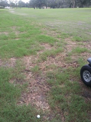 TEMPLE TERRACE GOLF & COUNTRY CLUB - Updated May 2024 - 26 Photos & 15 ...